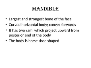 3 anatomy of maxilla mandible (1).pptx