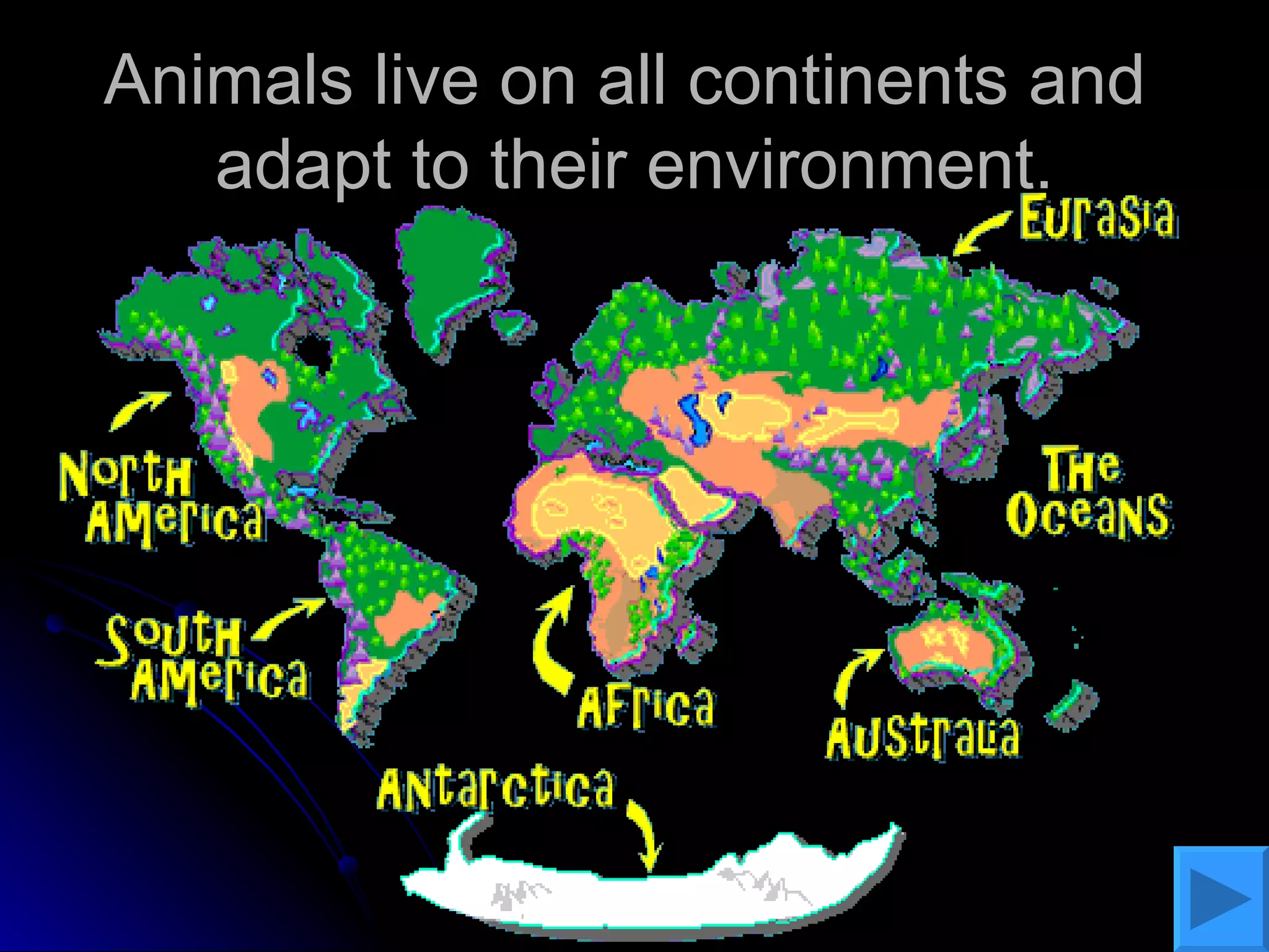 Animal Adaptations | PPT