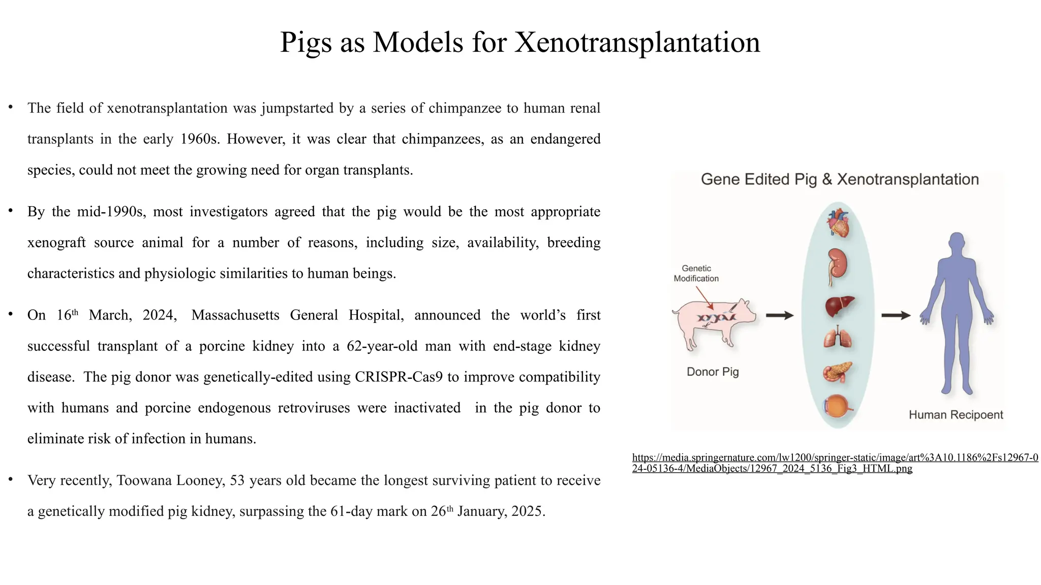 Animal Models for Biological and Clinical Research ppt 2.pptx
