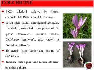 Anther culture and pollen culture | PPTX