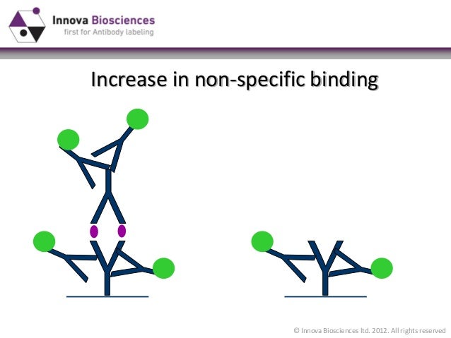 Non Specific Binding of Antibodies in Immunoassays