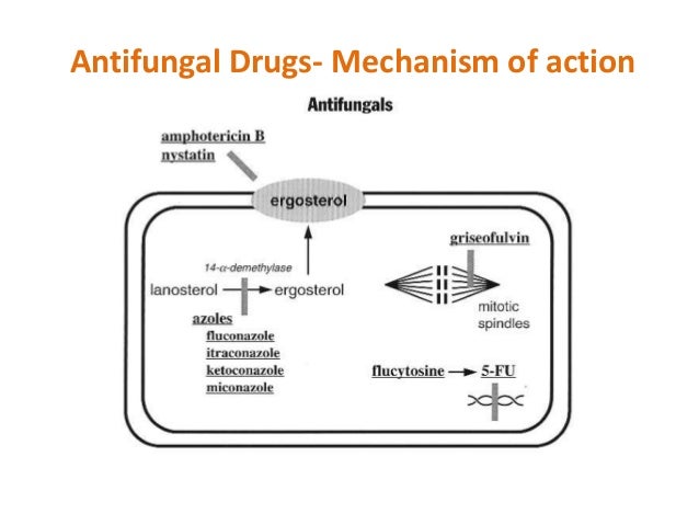 Introduction to antifungal drugs