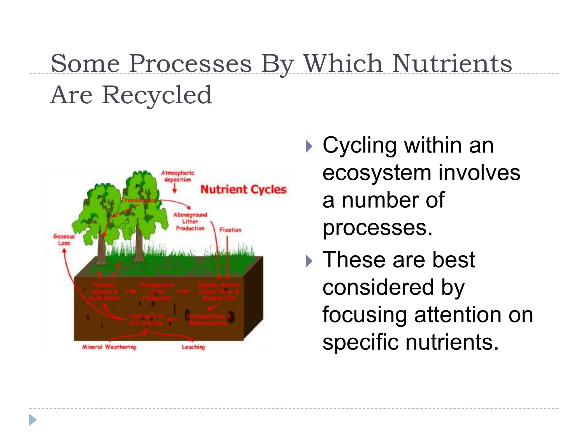 microbial cycling p3ANutrientCycling.ppt | Science