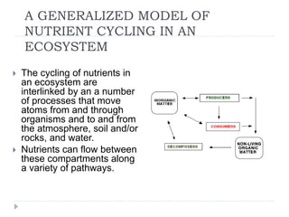 microbial cycling p3ANutrientCycling.ppt | Science