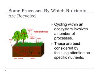 microbial cycling p3ANutrientCycling.ppt | Science