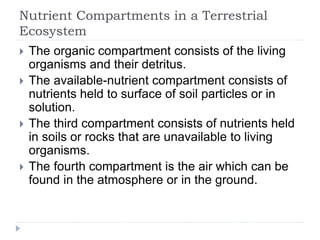 3ANutrientCyclingisapptogtgehwiehehehehe.ppt