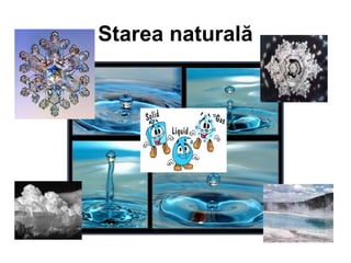 3 apa | PPT