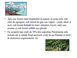 3 apa | PPT