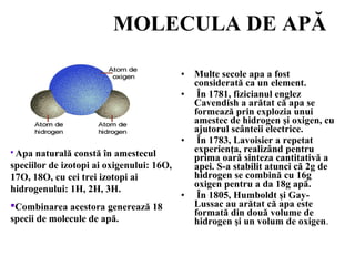 3 apa | PPT