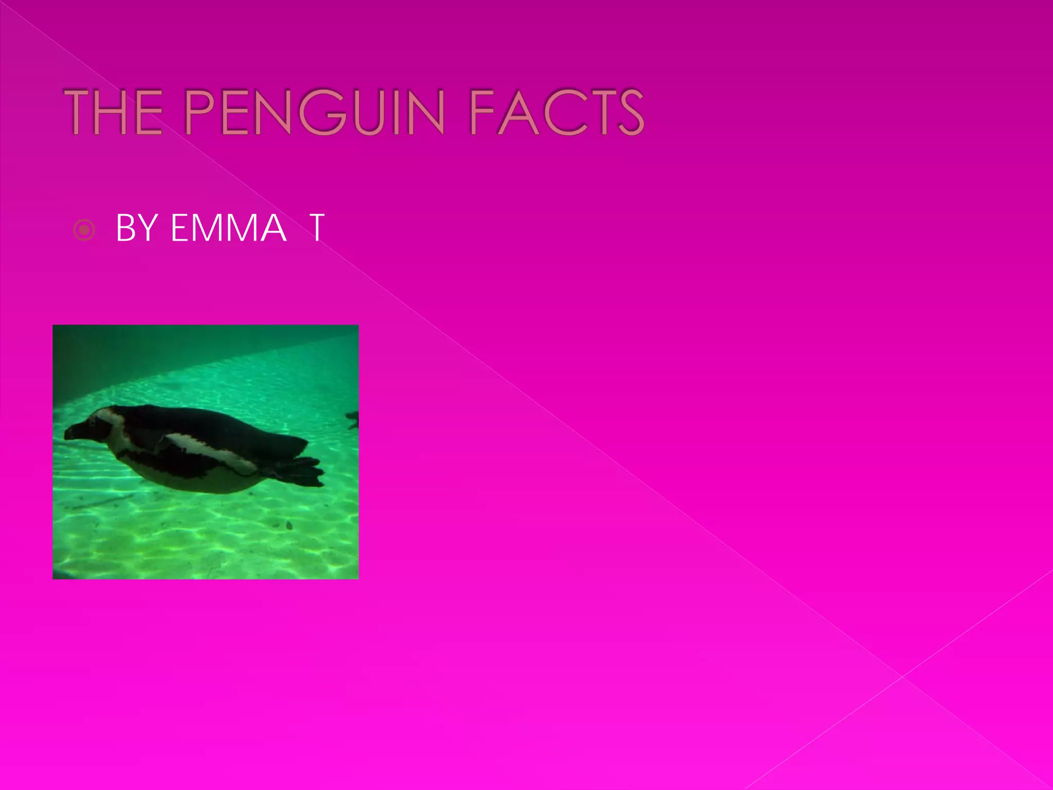3A: Penguin Research | PDF