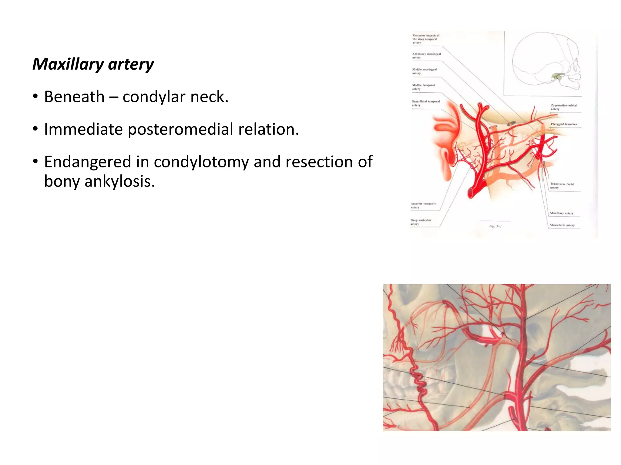 3 approaches to the tmj | PDF