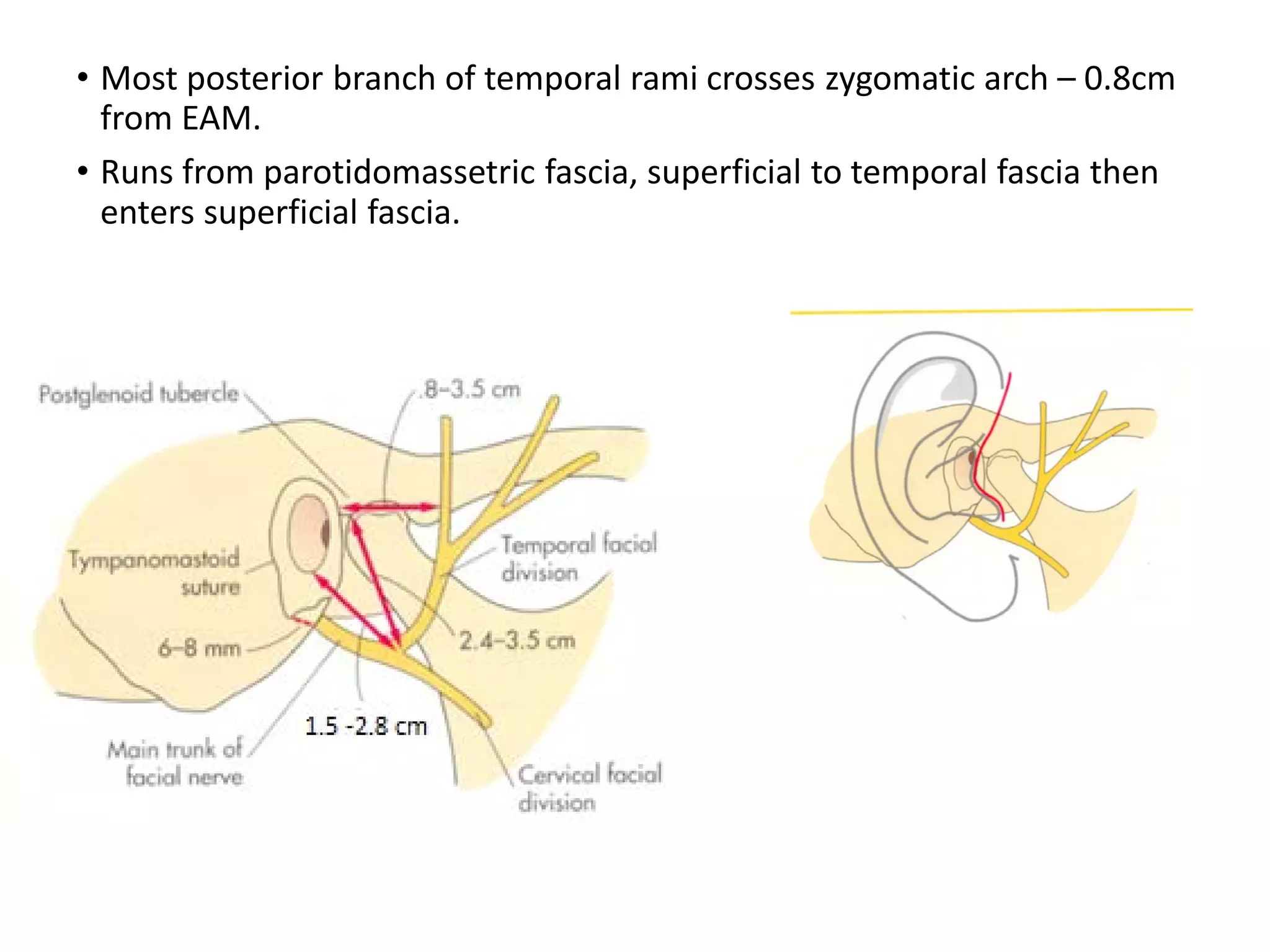 3 approaches to the tmj | PDF