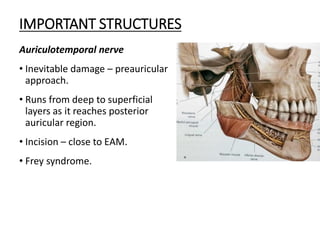 3 approaches to the tmj | PDF
