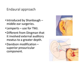 3 approaches to the tmj | PDF