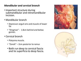 3 approaches to the tmj | PDF