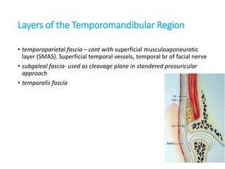 3 approaches to the tmj | PDF