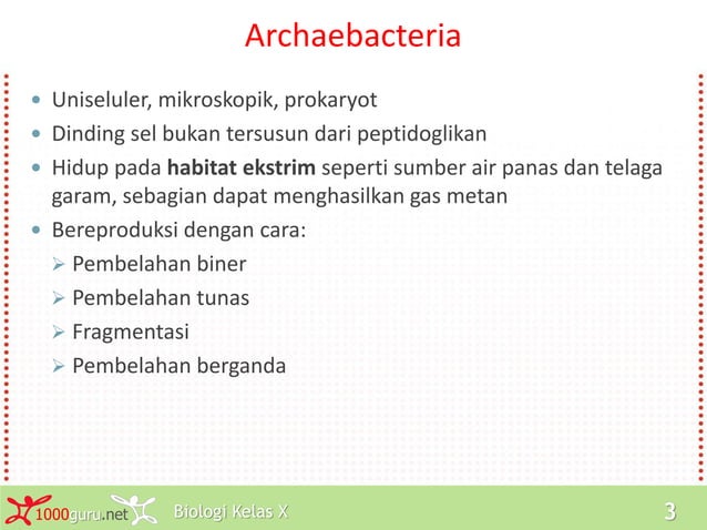 Serba-Serbi Bakteri: Archaeobacteria dan Eubacteria | PDF