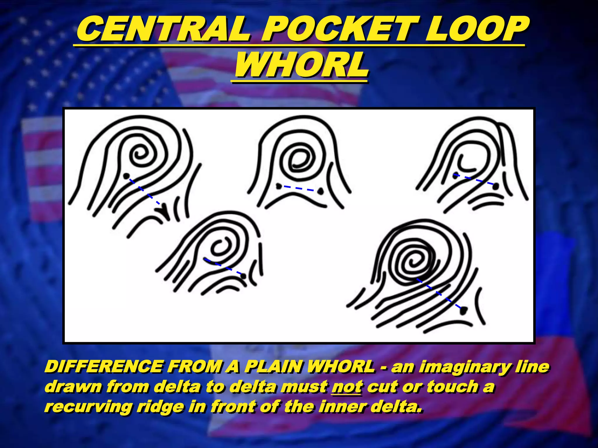 Whorl Patterns | PPTX