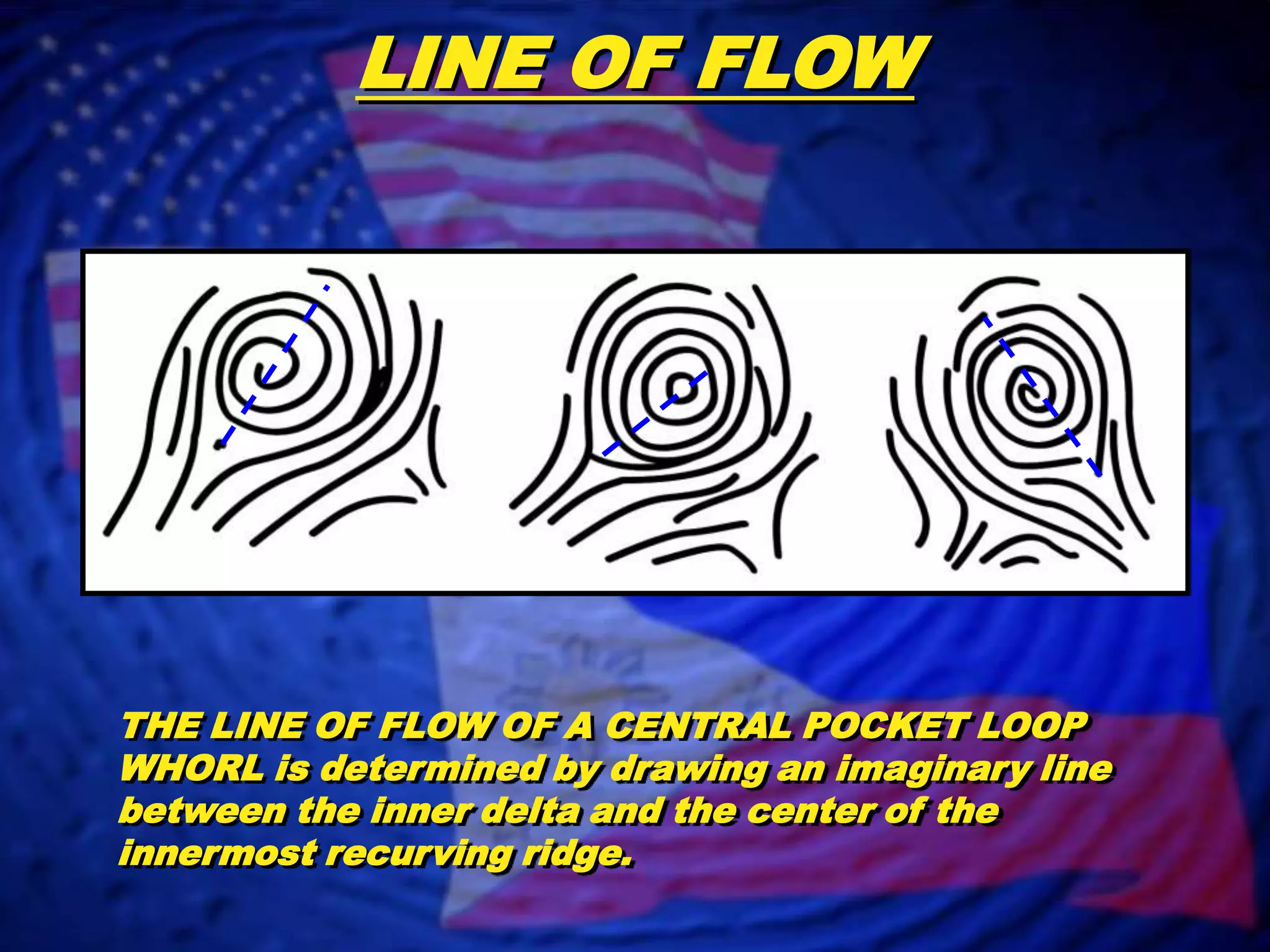 Whorl Patterns | PPTX