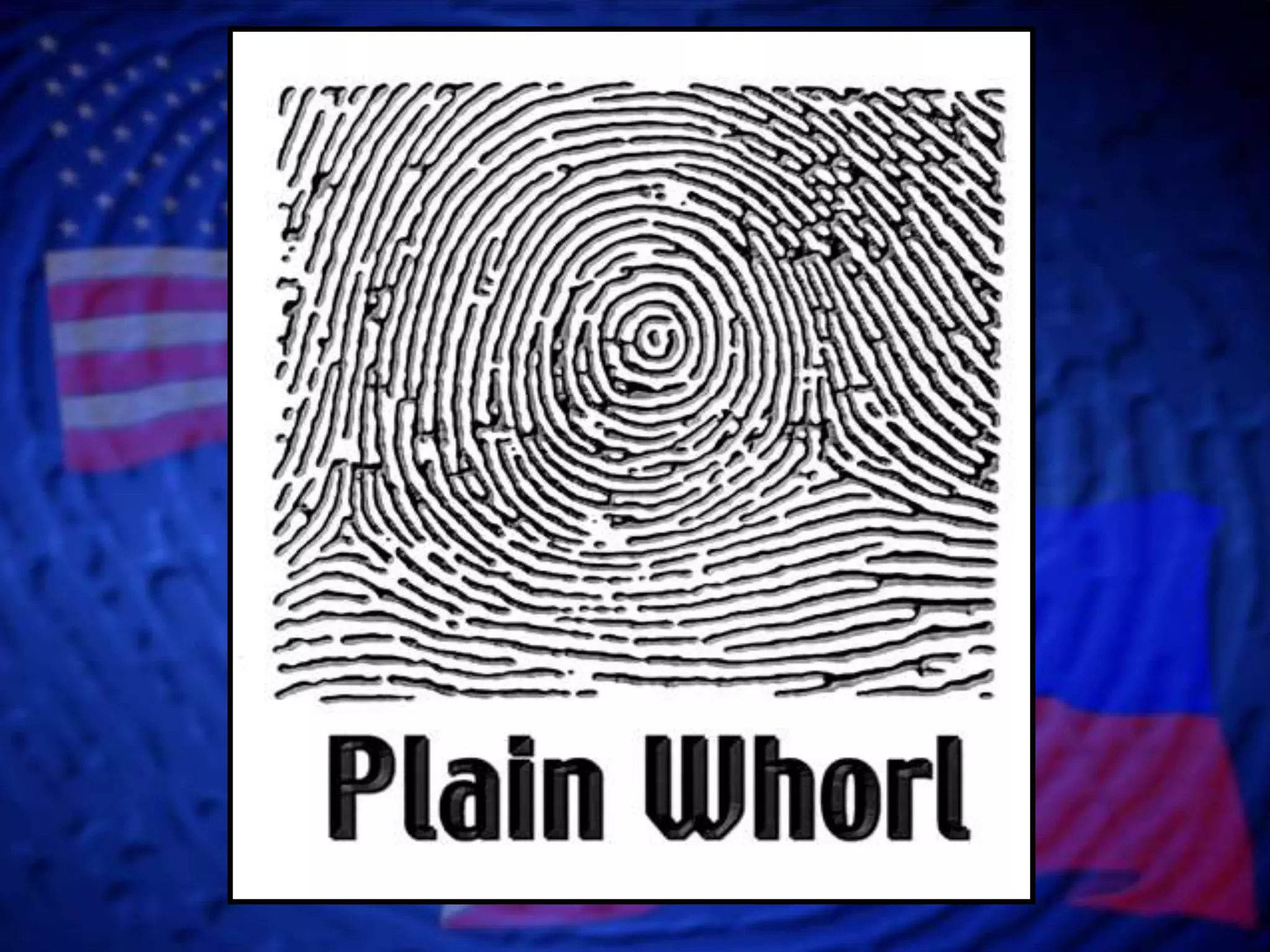 Whorl Patterns | PPTX