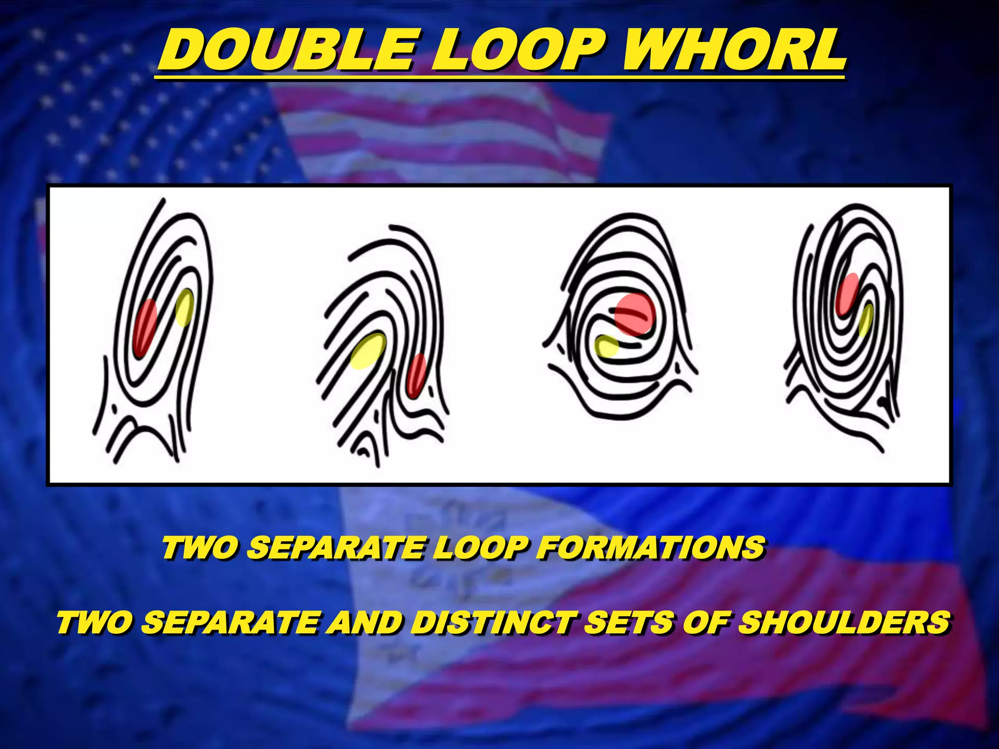 Whorl Patterns | PPTX