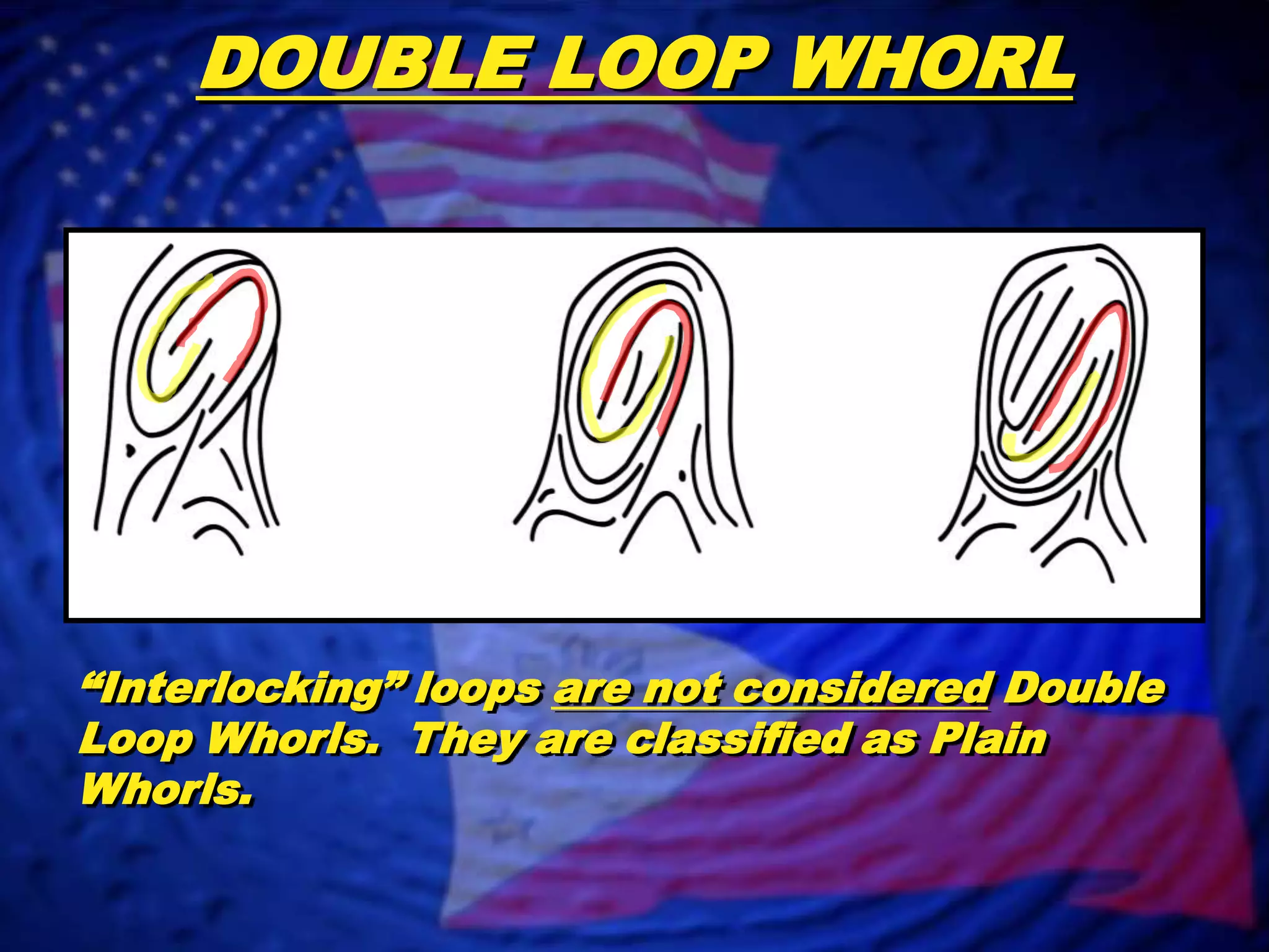 Whorl Patterns | PPTX