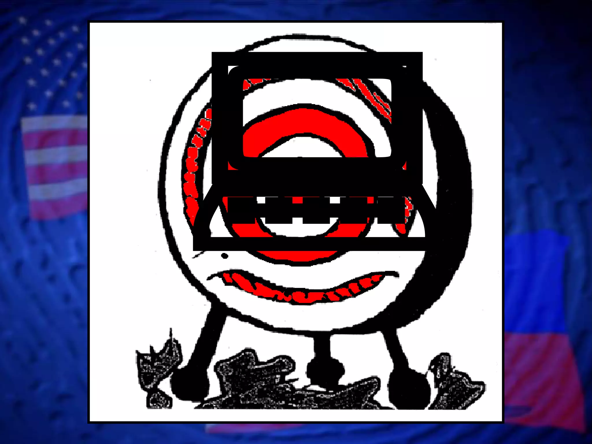 Whorl Patterns | PPTX