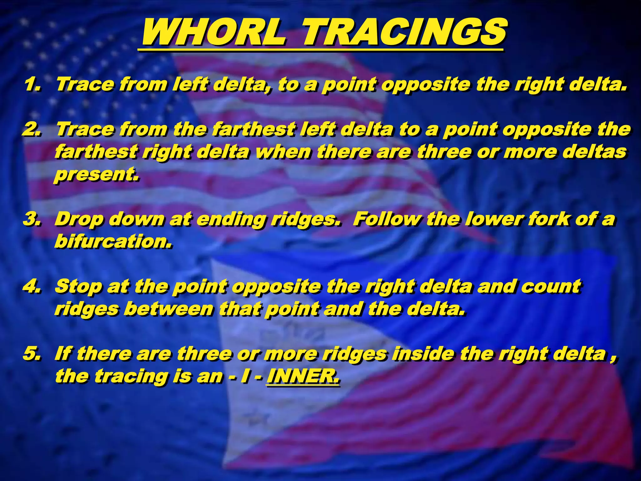 Whorl Patterns | PPTX