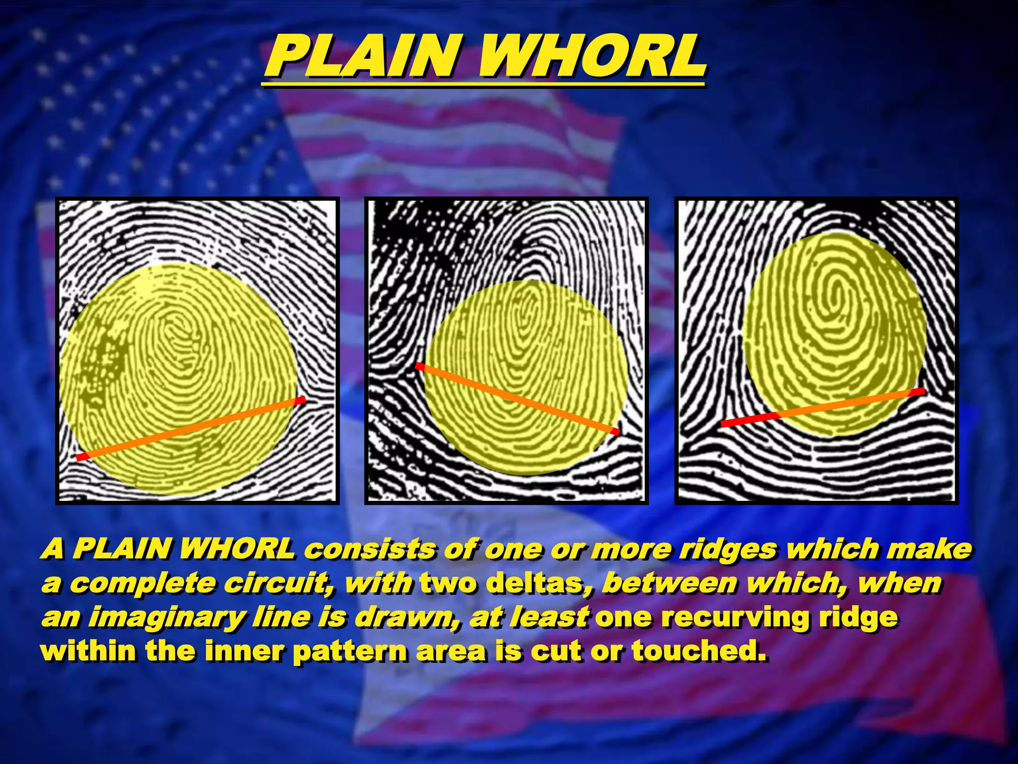 Whorl Patterns | PPTX