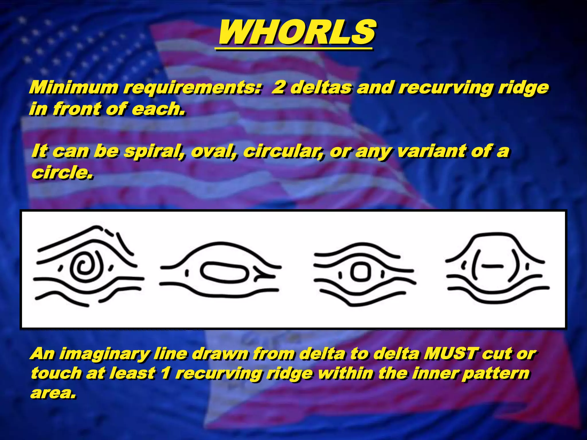 Whorl Patterns | PPTX