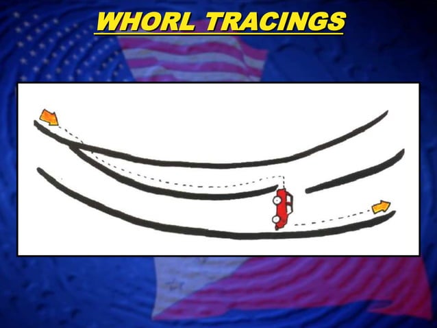 Whorl Patterns | PPTX