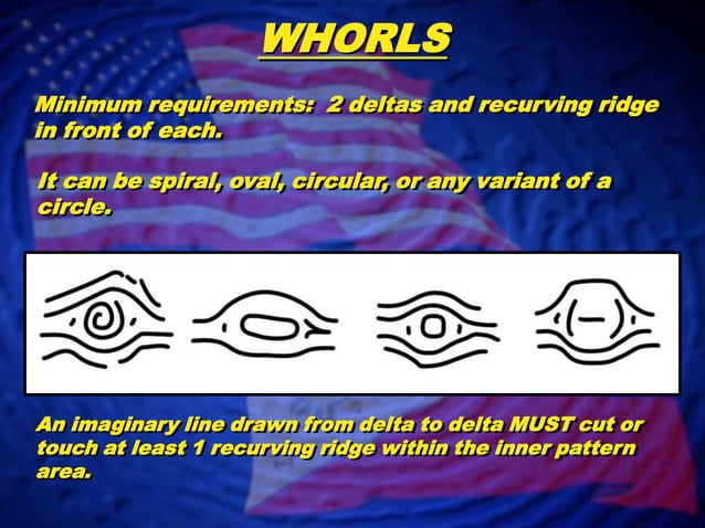 Whorl Patterns | PPTX