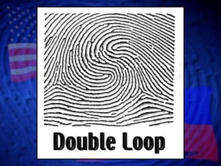 Radial Loop Fingerprint