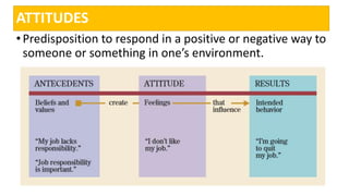 3 Attitudes | PPT