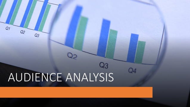 3 Audience Analysis.pdf
