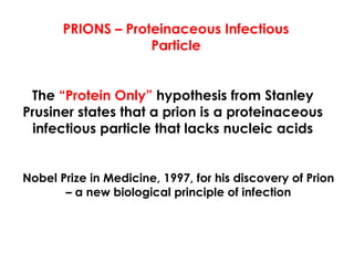 3_Aula_Priões_2023.pdfbiotejcnologiaefpc | PPT