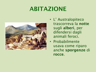 3 - Australopiteco | PPT