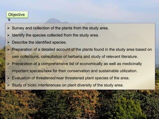 Flora, Revision and Monograph | PPT