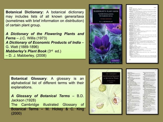 Flora, Revision and Monograph | PPT | Biological Sciences | Science