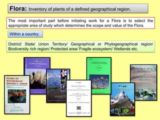 Flora, Revision and Monograph | PPT