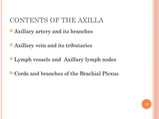 The axilla (armpit) is a pyramidal space between the upper limb and the ...