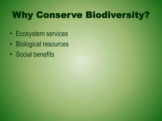 3B.1 Introduction to Biodiversity | PPTX