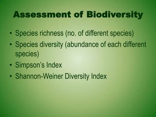 3B.1 Introduction to Biodiversity | PPTX
