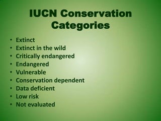 3B.1 Introduction to Biodiversity | PPTX