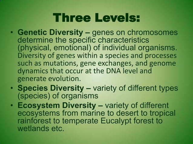 3B.1 Introduction to Biodiversity | PPTX