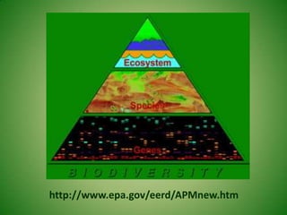 3B.1 Introduction to Biodiversity | PPTX