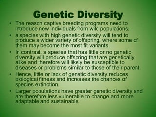 3B.1 Introduction to Biodiversity | PPTX