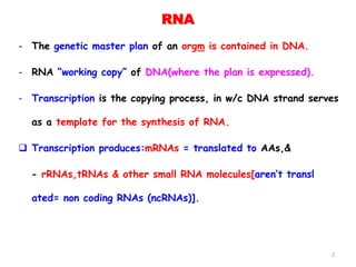 3B.Transcription.pptx