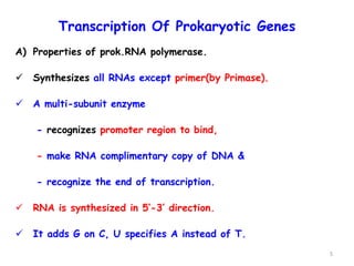 3B.Transcription.pptx