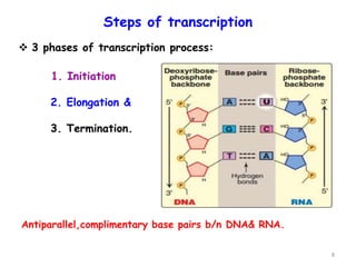 3B.Transcription.pptx
